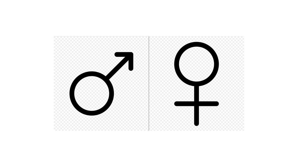 Boys and Girls Quiz Puzzle – Quiz Master Shop